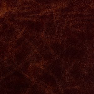 Amanzi Harness - Crest Leather
