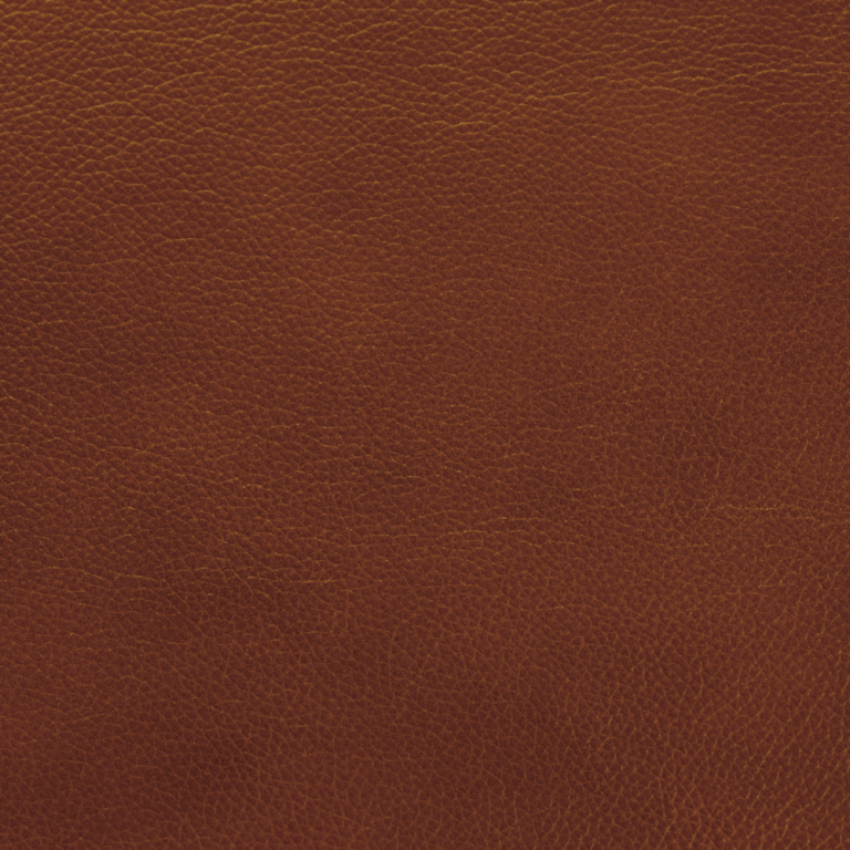 Shelly Castagna - Crest Leather