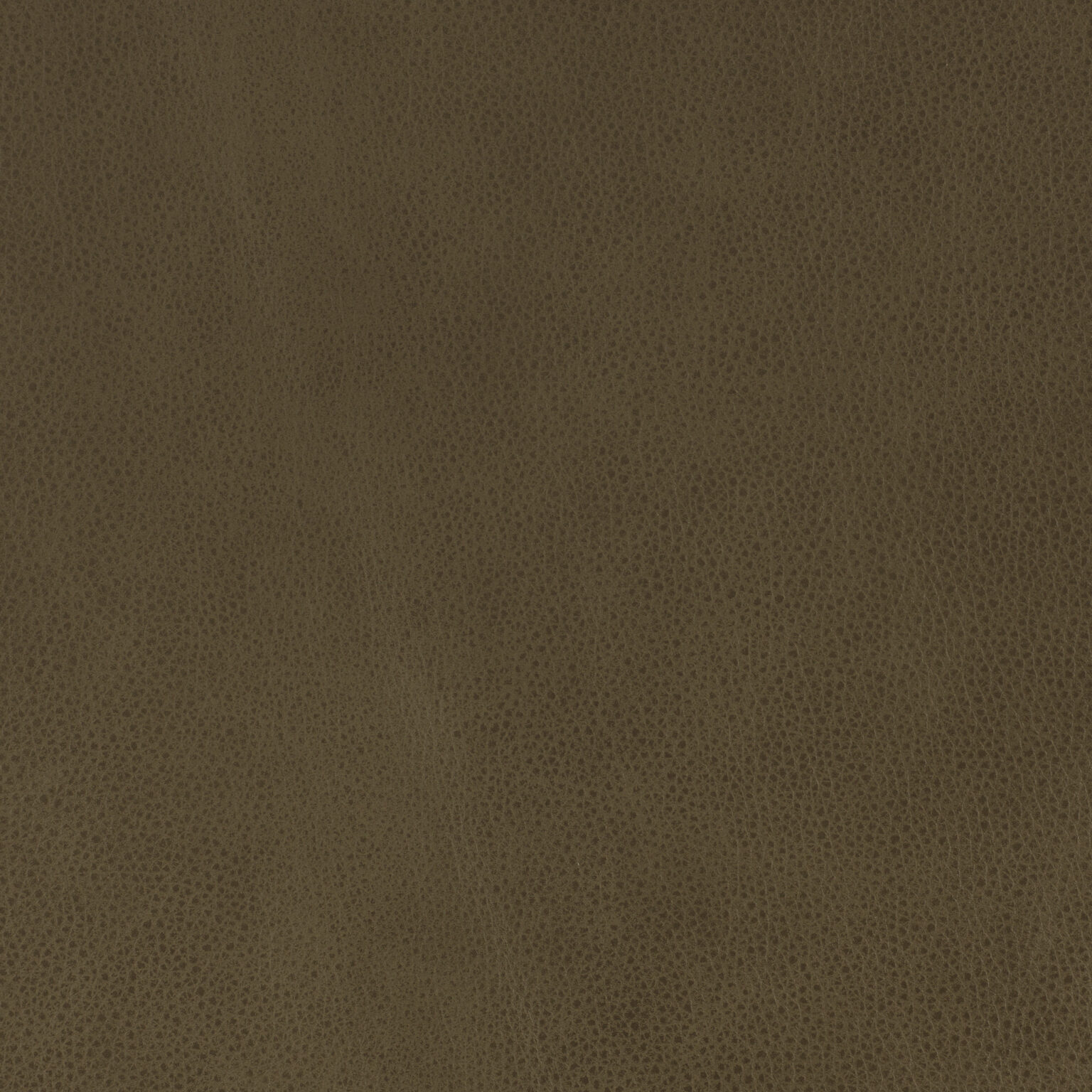 Altara Mushroom - Crest Leather