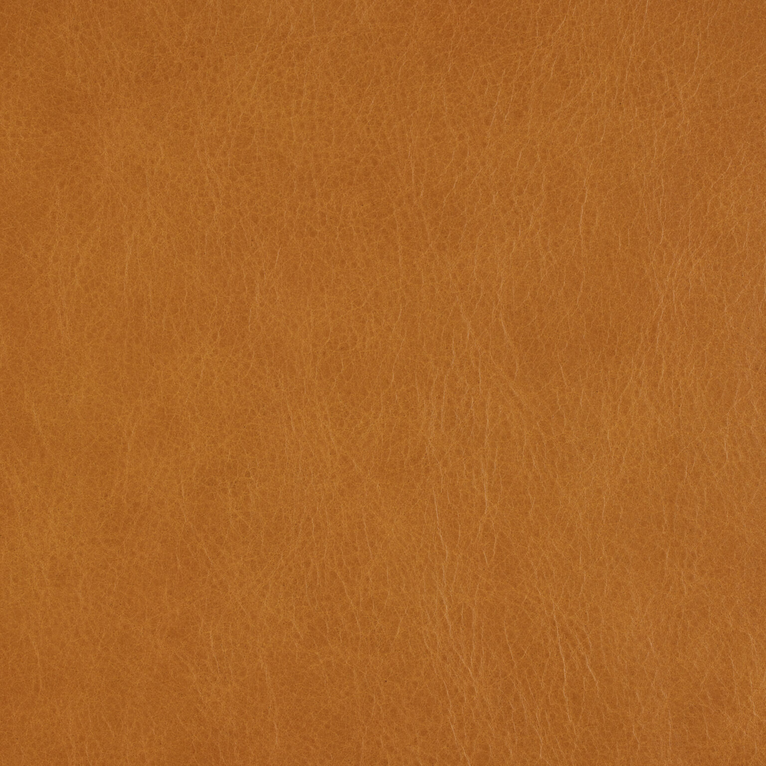 Bruno Tan - Crest Leather