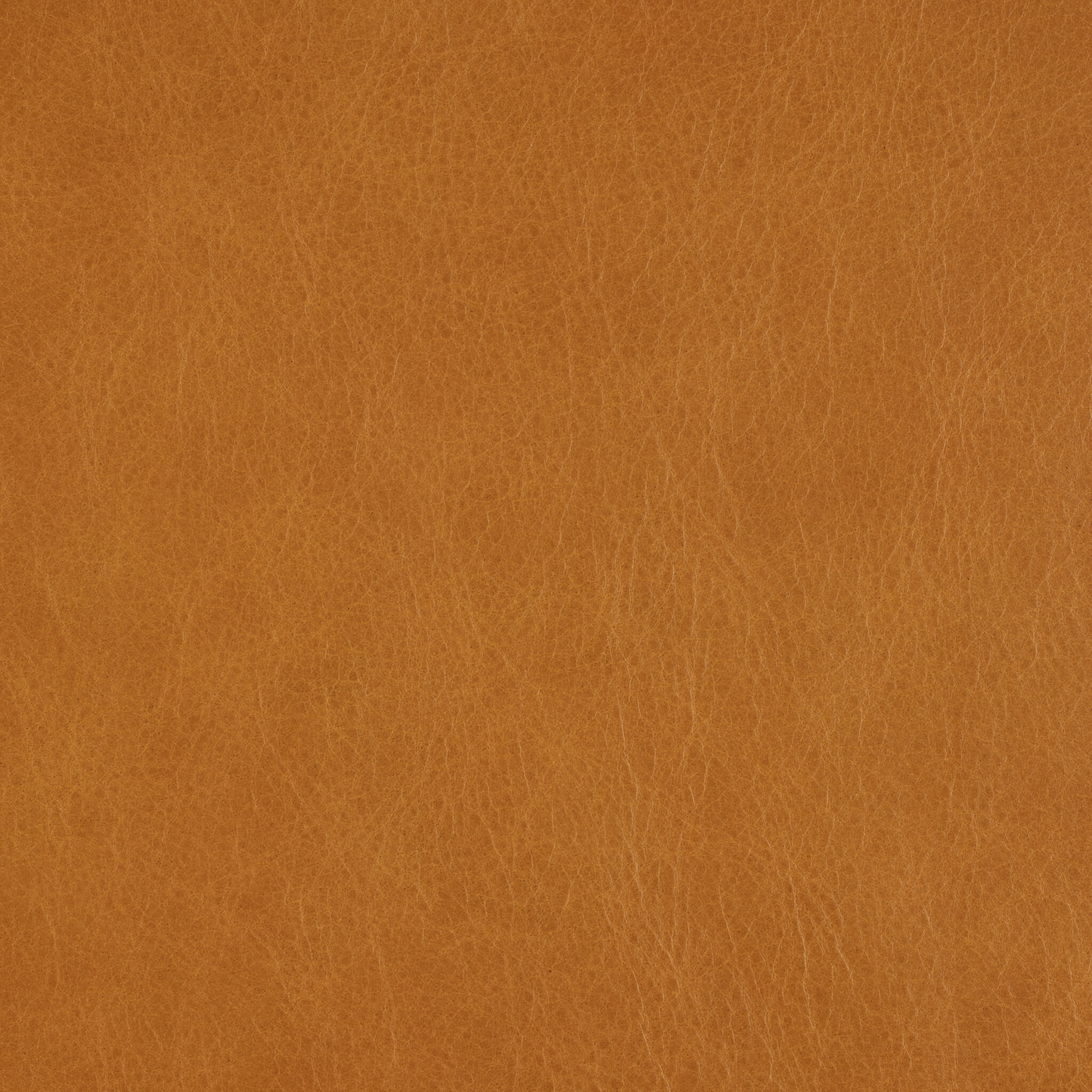 Bruno Tan - Crest Leather