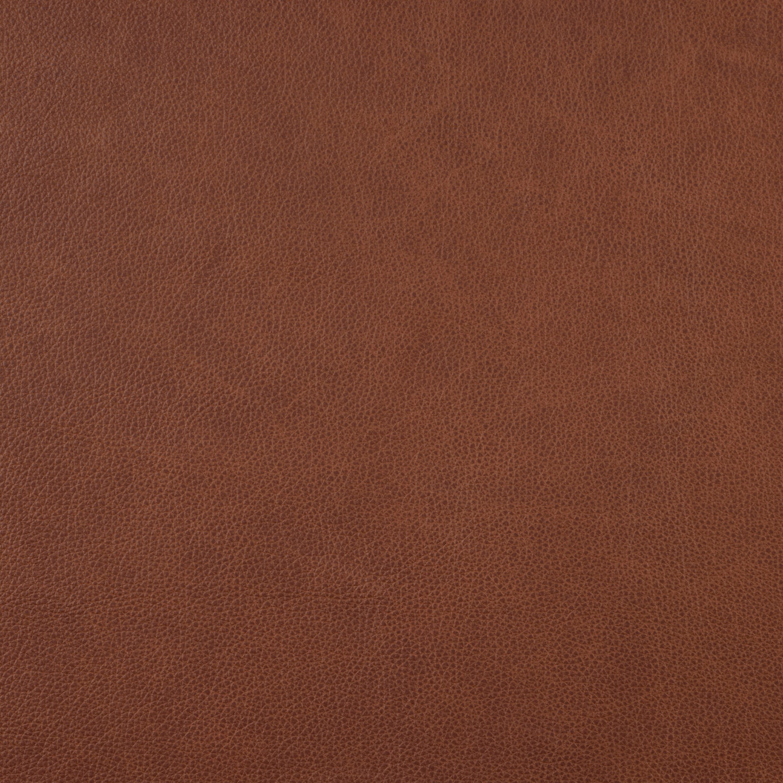 Rangers Caramel - Crest Leather