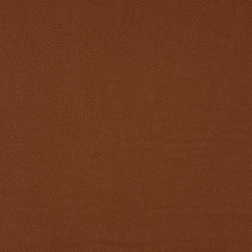 Shelly Sunset - Crest Leather