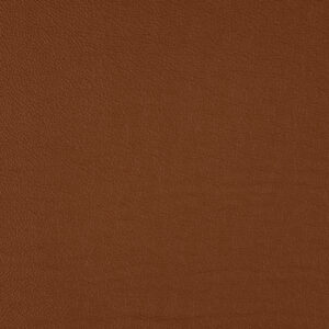 Shelly Sunset - Crest Leather